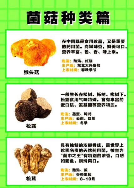 常见蘑菇种类有哪些_哪些蘑菇适合家常烹饪-第3张图片-山城妙识 常见蘑菇种类有哪些_哪些蘑菇适合家常烹饪-第3张图片-山城妙识