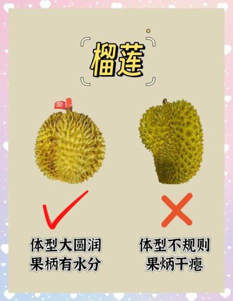 秋天有哪些水果_秋天水果怎么挑-第3张图片-山城妙识 秋天有哪些水果_秋天水果怎么挑-第3张图片-山城妙识