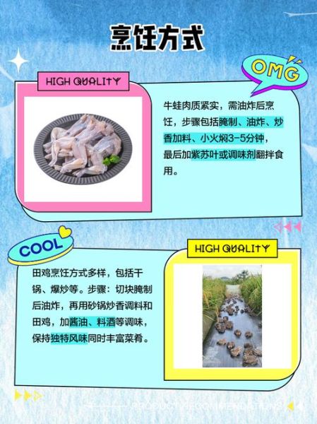 牛蛙是田鸡吗_田鸡和牛蛙的区别-第1张图片-山城妙识 牛蛙是田鸡吗_田鸡和牛蛙的区别-第1张图片-山城妙识