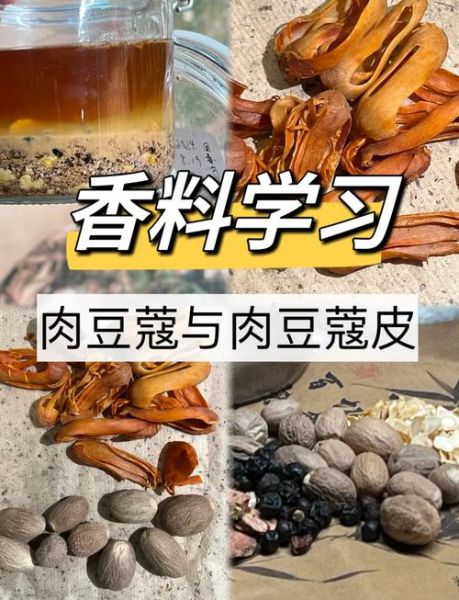 草豆蔻与肉豆蔻的区别_哪个更适合炖肉-第3张图片-山城妙识 草豆蔻与肉豆蔻的区别_哪个更适合炖肉-第3张图片-山城妙识