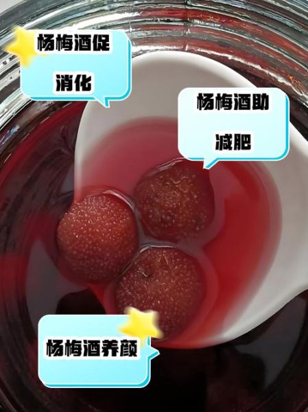 杨梅酒有什么好处_杨梅酒的功效与作用-第3张图片-山城妙识 杨梅酒有什么好处_杨梅酒的功效与作用-第3张图片-山城妙识