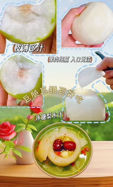 青皮梨怎么吃_青皮梨的功效与作用-第3张图片-山城妙识