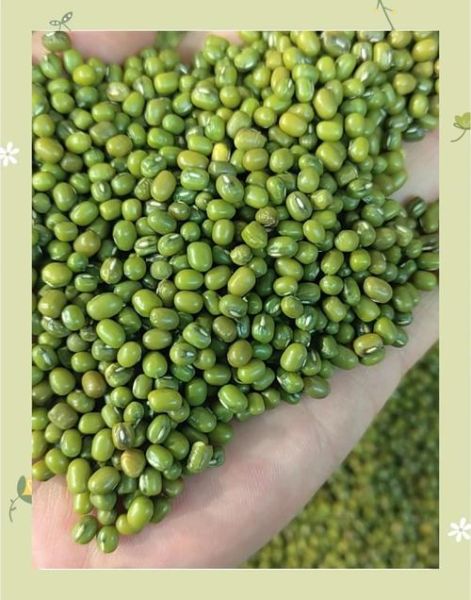 绿豆汤怎么煮才是绿色的汤色_为什么绿豆汤变红-第1张图片-山城妙识 绿豆汤怎么煮才是绿色的汤色_为什么绿豆汤变红-第1张图片-山城妙识