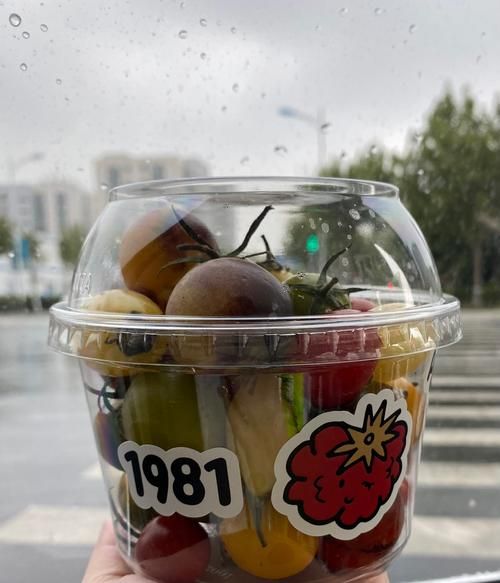 正宗披萨酱怎么做_披萨酱用什么番茄最好-第1张图片-山城妙识 正宗披萨酱怎么做_披萨酱用什么番茄最好-第1张图片-山城妙识