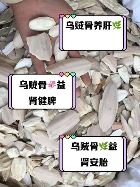 乌贼骨有什么功效_乌贼骨怎么服用-第1张图片-山城妙识