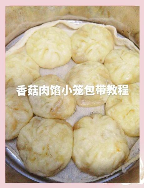 小笼包子怎么蒸不破皮_小笼包子蒸多久才熟-第1张图片-山城妙识