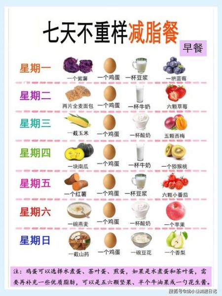 明星一日三餐减肥食谱表_如何科学瘦身不反弹-第2张图片-山城妙识