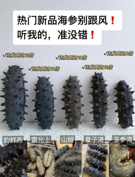 海参价格多少一个_海参多少钱一只-第3张图片-山城妙识