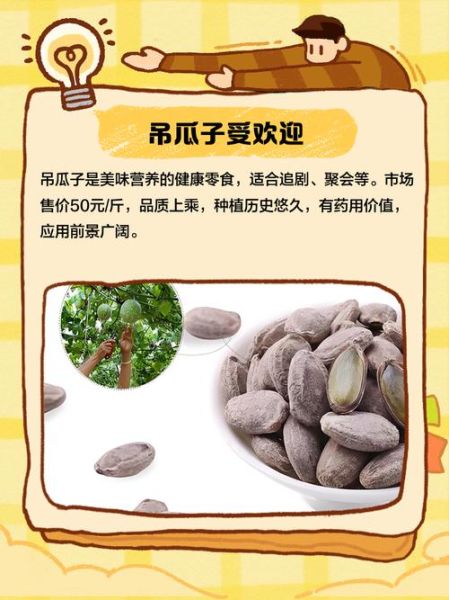 吊瓜子哪些人不能吃_孕妇可以吃吊瓜子吗-第3张图片-山城妙识 吊瓜子哪些人不能吃_孕妇可以吃吊瓜子吗-第3张图片-山城妙识