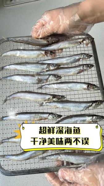 深海鱼图片怎么拍_深海鱼长什么样-第3张图片-山城妙识