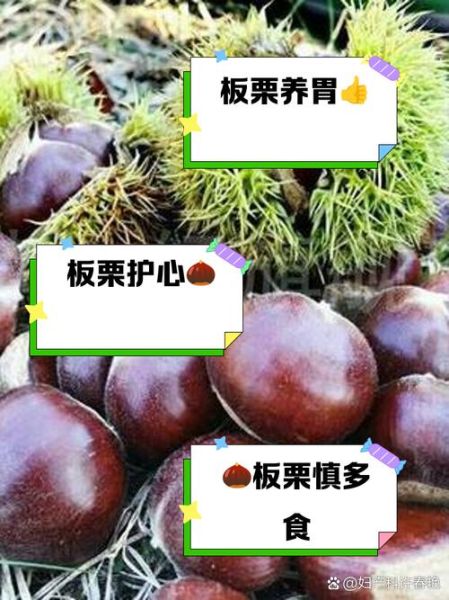 栗子吃了有什么好处和坏处_栗子一天吃多少合适-第2张图片-山城妙识 栗子吃了有什么好处和坏处_栗子一天吃多少合适-第2张图片-山城妙识