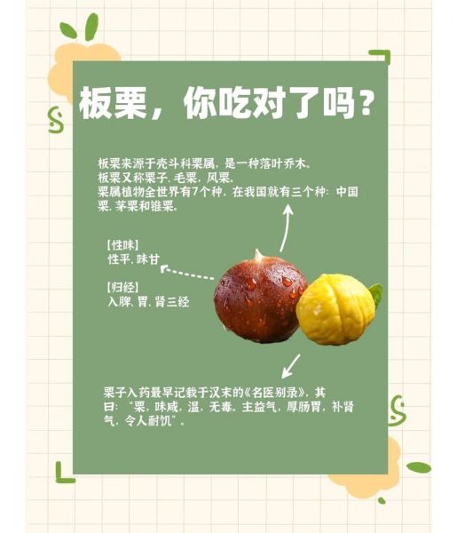栗子吃了有什么好处和坏处_栗子一天吃多少合适-第1张图片-山城妙识 栗子吃了有什么好处和坏处_栗子一天吃多少合适-第1张图片-山城妙识