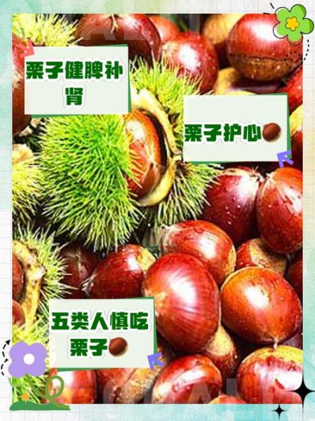 栗子吃了有什么好处和坏处_栗子一天吃多少合适-第3张图片-山城妙识 栗子吃了有什么好处和坏处_栗子一天吃多少合适-第3张图片-山城妙识