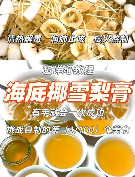 海底椰雪梨膏怎么做_海底椰雪梨膏的功效与禁忌-第2张图片-山城妙识