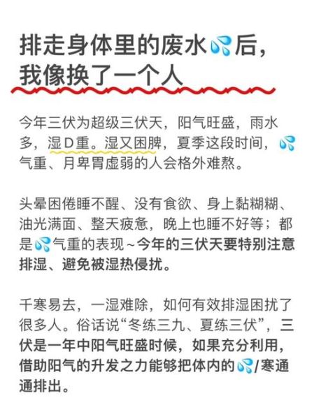 三伏天怎么排湿气寒气最好_三伏天排湿寒最有效的方法-第2张图片-山城妙识 三伏天怎么排湿气寒气最好_三伏天排湿寒最有效的方法-第2张图片-山城妙识