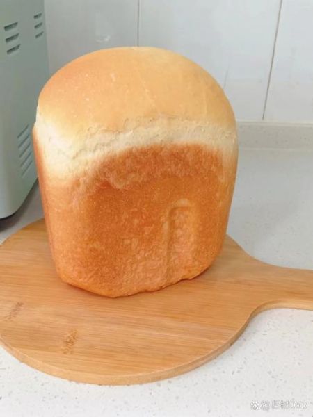 wmf面包机做面包的配方_一次发酵失败怎么办-第2张图片-山城妙识