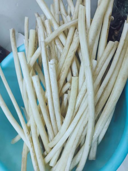 藕带种植技术_藕带亩产多少斤-第2张图片-山城妙识