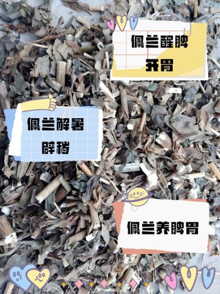 亚麻籽粉千万别乱吃_亚麻籽粉副作用有哪些-第1张图片-山城妙识 亚麻籽粉千万别乱吃_亚麻籽粉副作用有哪些-第1张图片-山城妙识