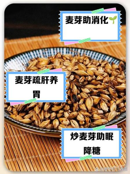 炒麦芽的功效与作用_炒麦芽怎么喝才回奶-第1张图片-山城妙识