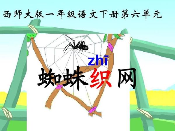 蜘蛛的拼音怎么拼写_蜘蛛拼音几声调-第2张图片-山城妙识