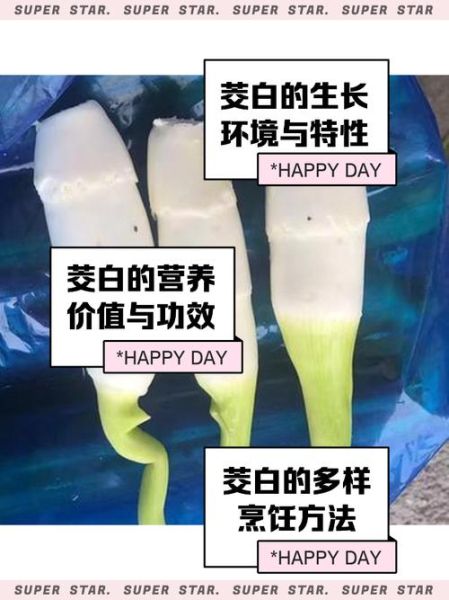 茭白需要焯水吗_茭白焯水几分钟-第3张图片-山城妙识