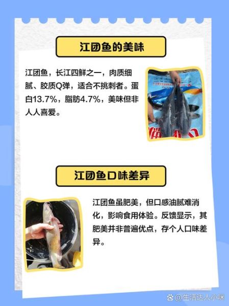 江团鱼什么人不能吃_江团鱼不能和什么一起吃-第1张图片-山城妙识