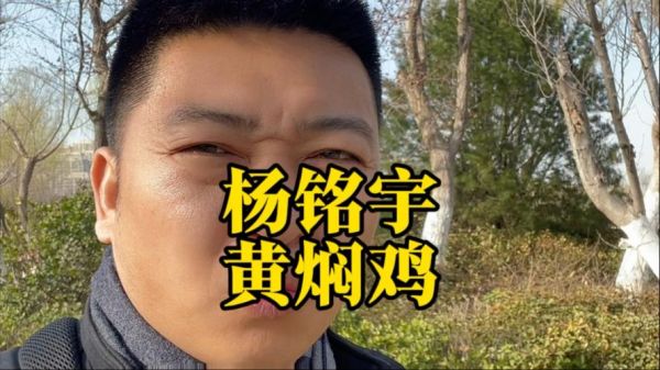 杨铭宇黄焖鸡米饭logo含义_品牌视觉升级解析-第2张图片-山城妙识