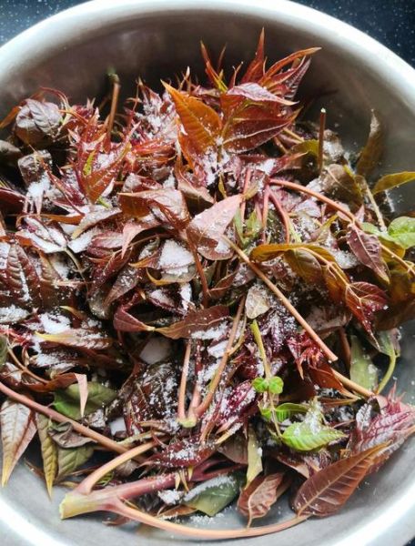 腌香椿怎么做_腌香椿的做法大全-第1张图片-山城妙识