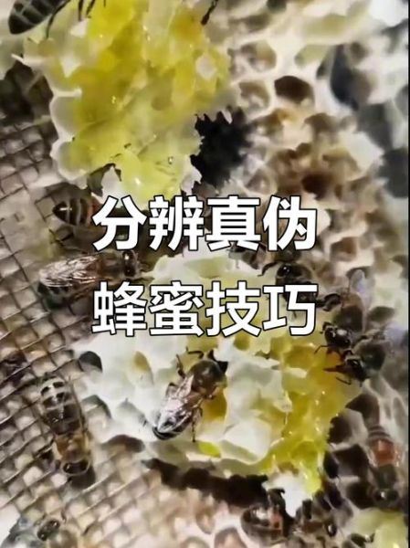蜂巢蜜真假怎么辨别_蜂巢蜜真假鉴别方法-第1张图片-山城妙识
