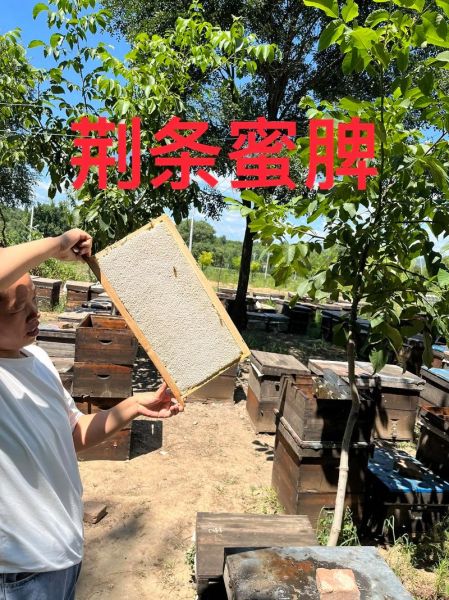 蜂巢蜜真假怎么辨别_蜂巢蜜真假鉴别方法-第2张图片-山城妙识