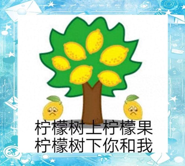 柠檬树下你和我_柠檬树下你和我是什么意思-第3张图片-山城妙识 柠檬树下你和我_柠檬树下你和我是什么意思-第3张图片-山城妙识