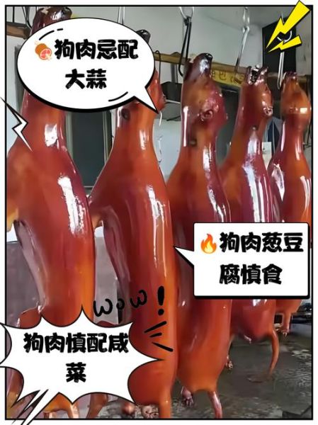 狗肉不能和什么一起吃_狗肉相克食物有哪些-第3张图片-山城妙识