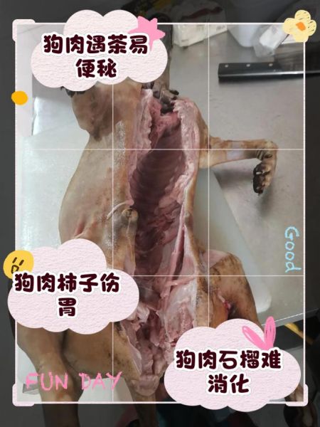 狗肉不能和什么一起吃_狗肉相克食物有哪些-第1张图片-山城妙识
