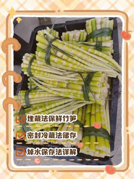 鲜笋怎样放保持新鲜_鲜笋保存方法有哪些-第2张图片-山城妙识