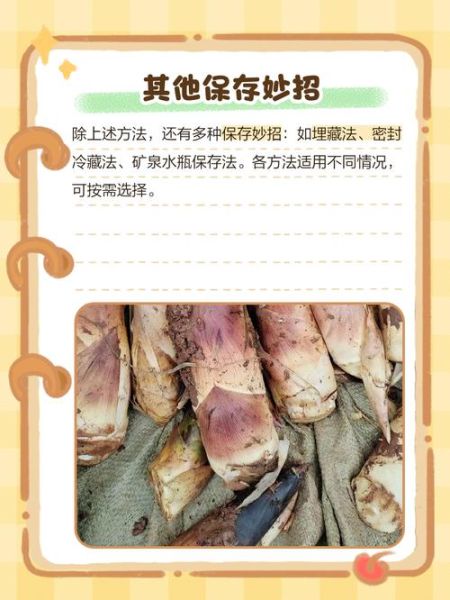 鲜笋怎样放保持新鲜_鲜笋保存方法有哪些-第3张图片-山城妙识