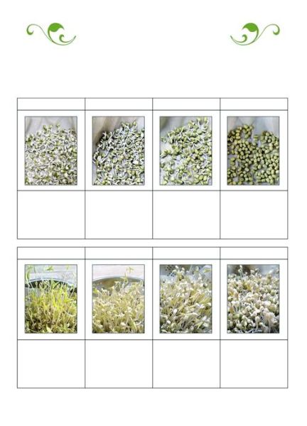 绿豆芽苗菜怎么种_绿豆芽苗菜种植方法-第1张图片-山城妙识 绿豆芽苗菜怎么种_绿豆芽苗菜种植方法-第1张图片-山城妙识