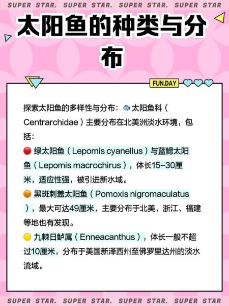 太阳鱼为什么叫太阳鱼_太阳鱼名字的由来-第3张图片-山城妙识