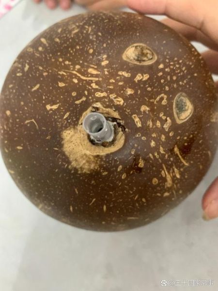 拉环椰子怎么打开_拉环椰子打不开怎么办-第2张图片-山城妙识