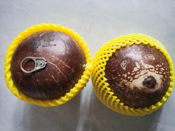 拉环椰子怎么打开_拉环椰子打不开怎么办-第3张图片-山城妙识