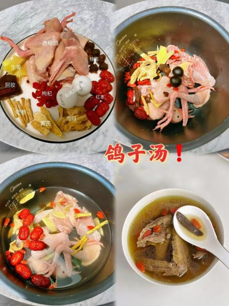 家常鸽子汤怎么炖最营养_炖鸽子汤放什么材料最补-第3张图片-山城妙识