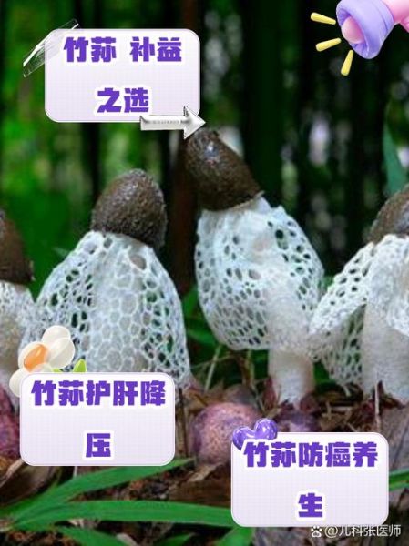 竹荪的功效与作用是什么_竹荪怎么吃最营养-第1张图片-山城妙识