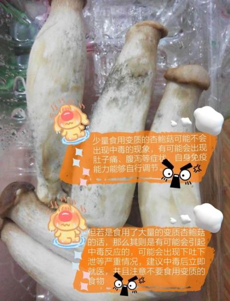 杏鲍菇要不要焯水_焯水后口感更好吗-第3张图片-山城妙识