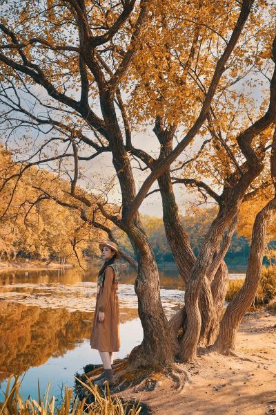 秋季图片怎么拍好看_秋季图片拍摄技巧-第2张图片-山城妙识 秋季图片怎么拍好看_秋季图片拍摄技巧-第2张图片-山城妙识