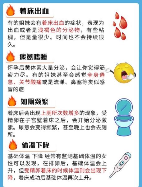 胚胎质量好的征兆_如何提高着床率-第1张图片-山城妙识