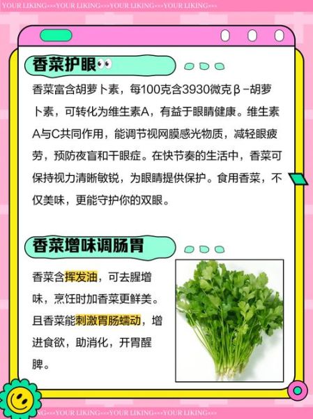 吃香菜有什么好处_香菜营养价值-第2张图片-山城妙识