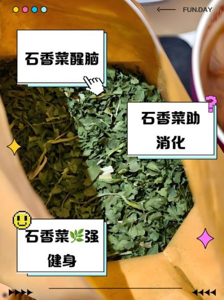 石香菜怎么吃_石香菜功效与禁忌-第1张图片-山城妙识