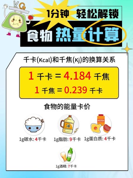 食物卡路里计算app哪个好_如何精准记录每日热量-第1张图片-山城妙识 食物卡路里计算app哪个好_如何精准记录每日热量-第1张图片-山城妙识