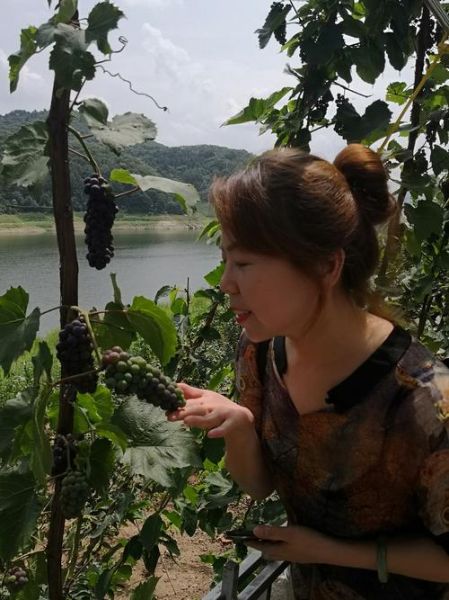 雪菜碧池是什么意思_雪菜碧池出自哪里-第3张图片-山城妙识