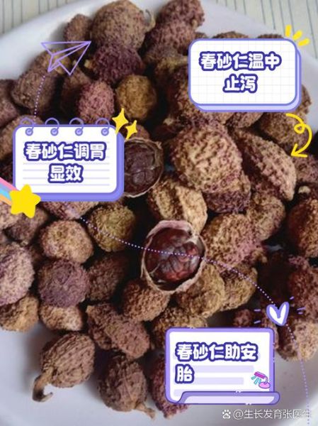 砂仁图片及功效与作用_砂仁怎么吃效果最好-第1张图片-山城妙识 砂仁图片及功效与作用_砂仁怎么吃效果最好-第1张图片-山城妙识