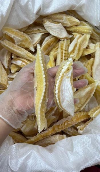 真鱼翅价格多少一斤_真鱼翅多少钱一斤-第3张图片-山城妙识